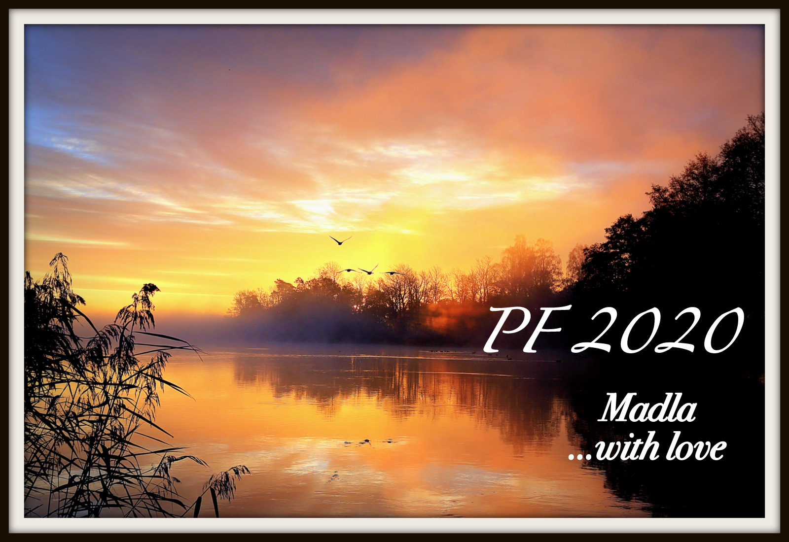 PF 2020 - Koření života.com